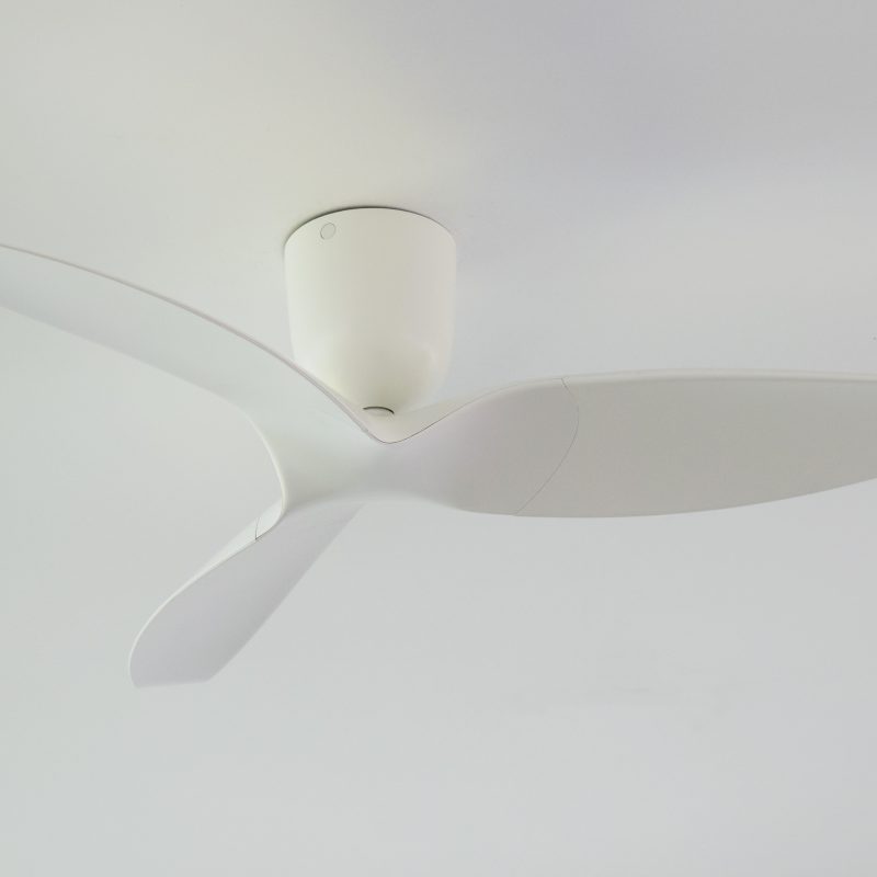 CEILING FAN – Workshopped