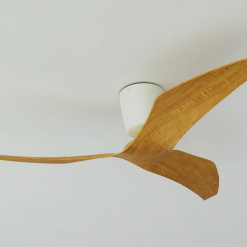 CEILING FAN – Workshopped