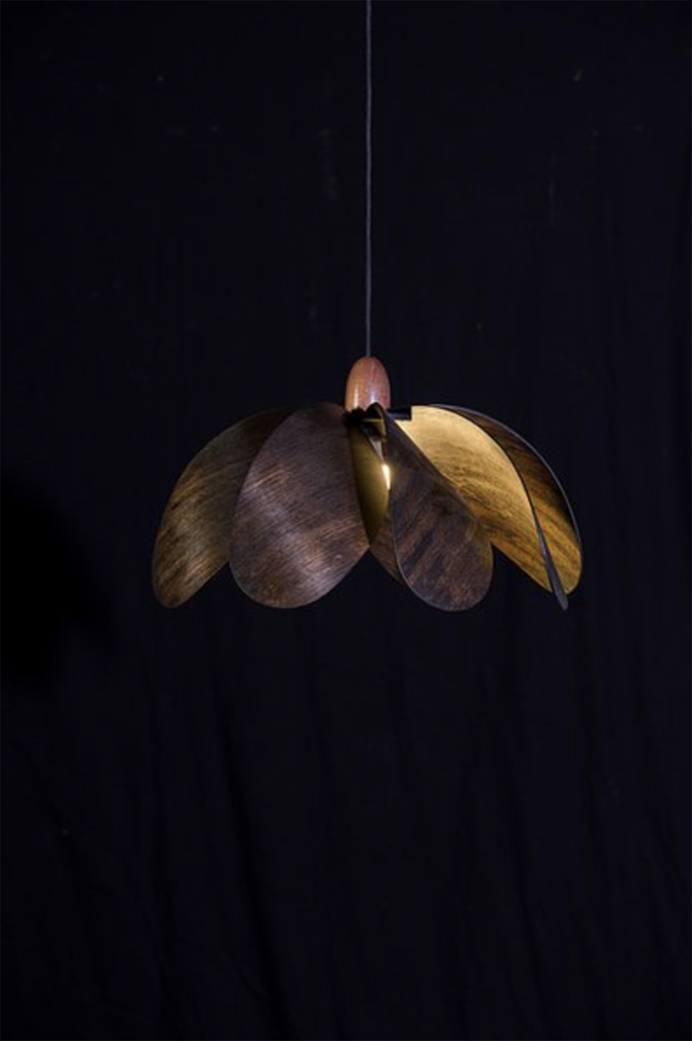 Propeller Pendant Light – Ebonised Eucalypt – Workshopped