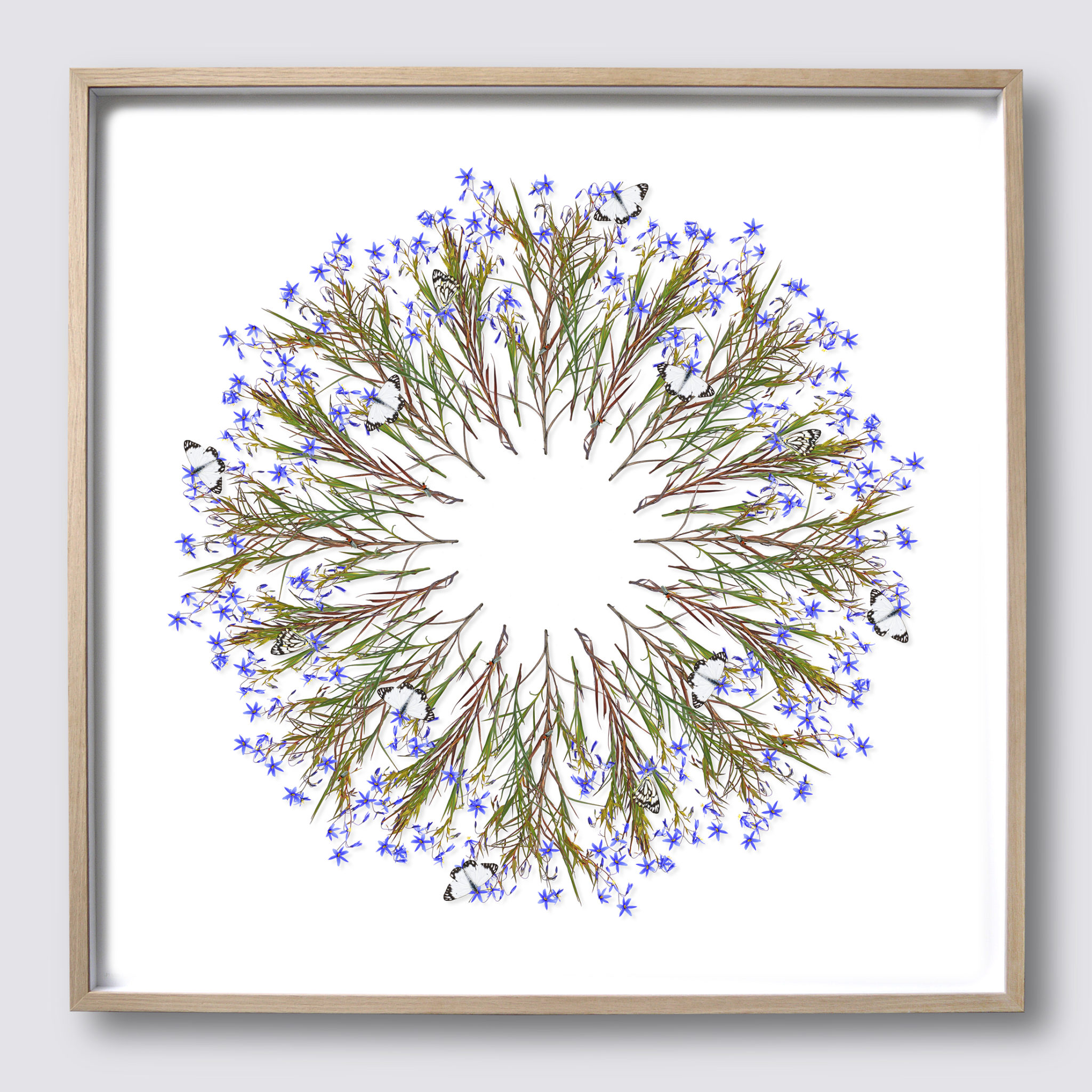 Nodding Blue Lily – Workshopped